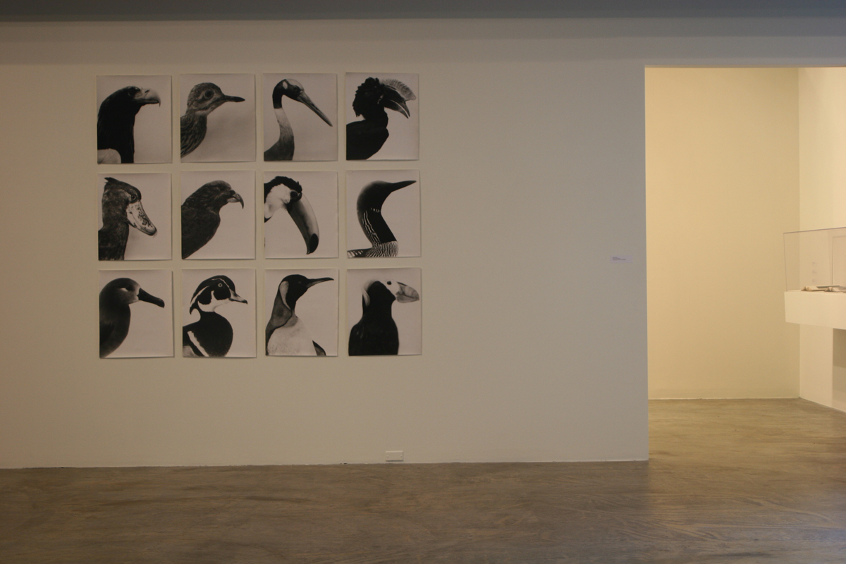 Jochen Lempert - Contemporary Art Museum St. Louis