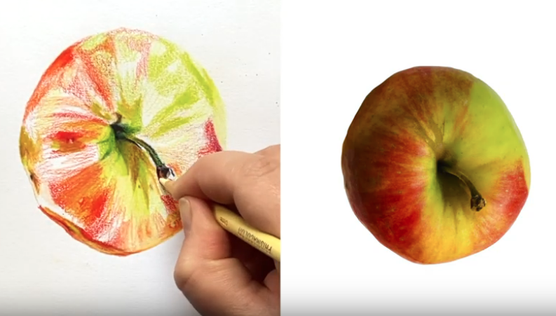 Art at Home: Colored Pencil Blending - Contemporary Art Museum St. Louis